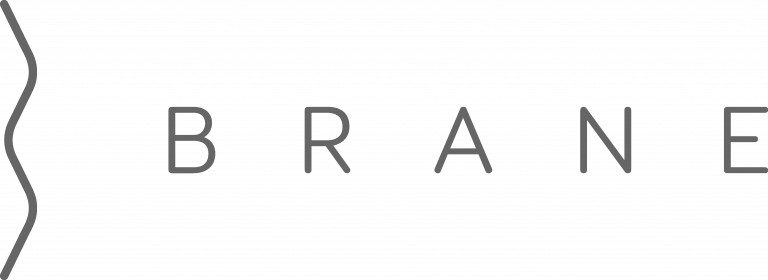 Brane X - Pump Studios